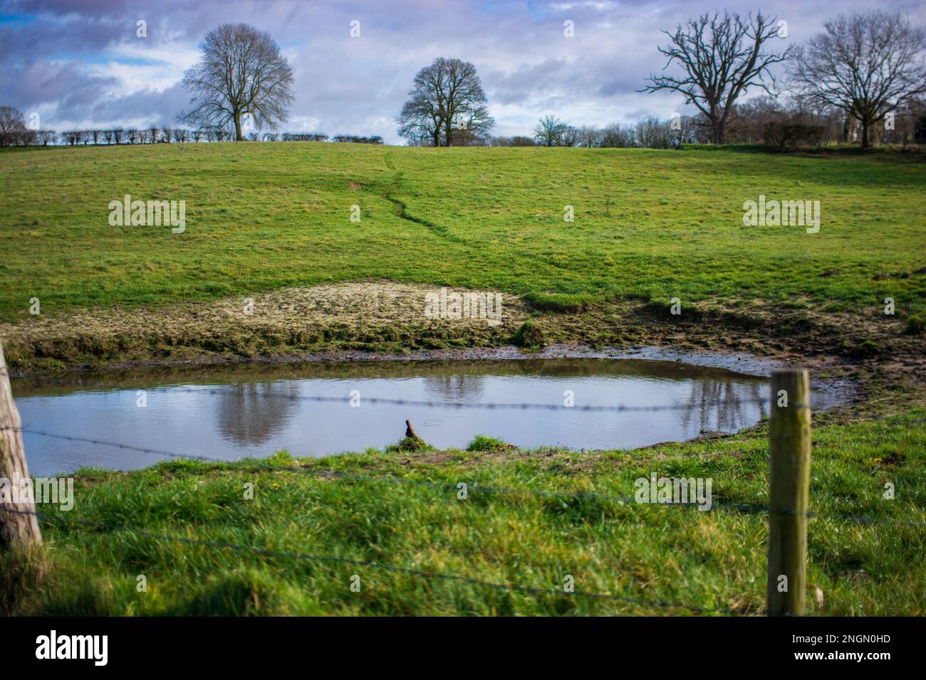 Farm field pond Stock Photo - Alamy