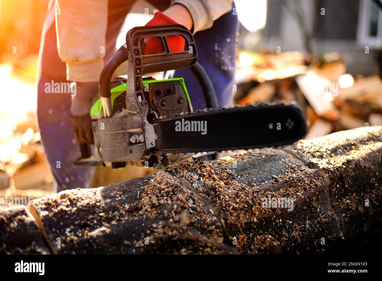 Gasoline Chainsaw. Close-up of woodcutter sawing chain saw in motion ...