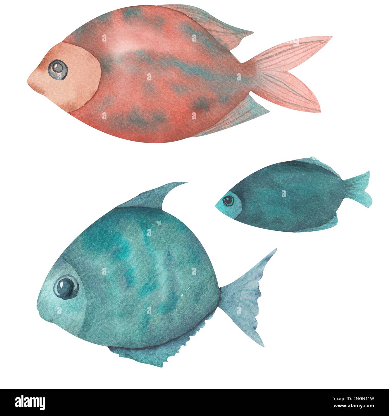 Watercolor fish illustration hi-res stock photography and images - Alamy