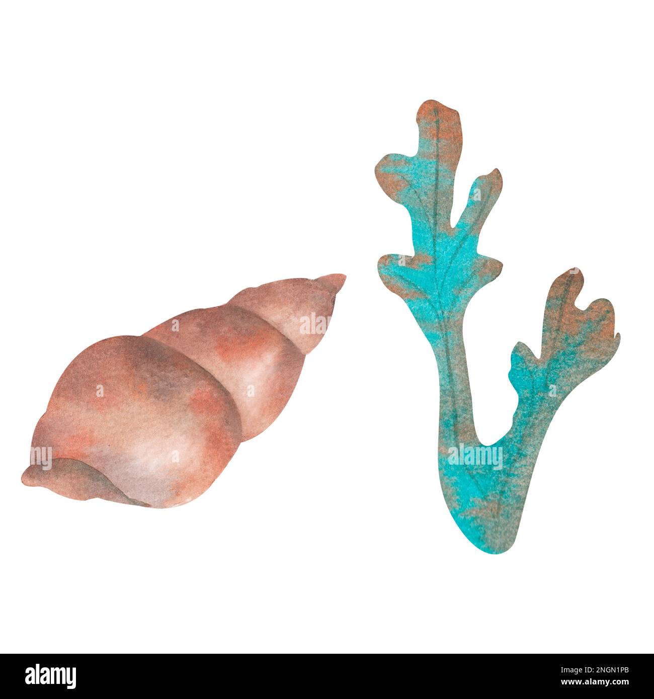 Watercolor set of underwater life objects with seaweed and shells ...