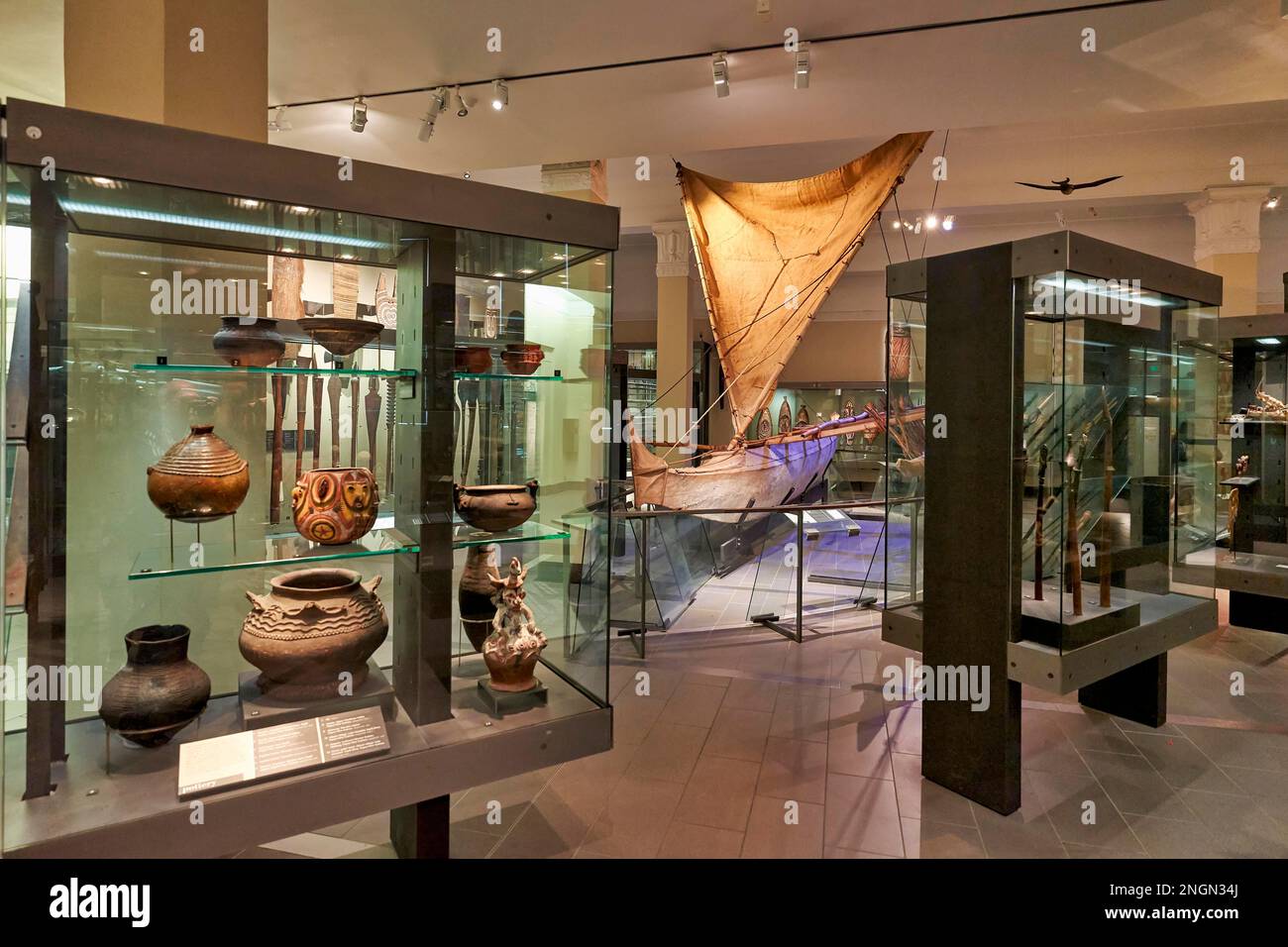 Auckland War Memorial Museum. New Zealand Stock Photo - Alamy