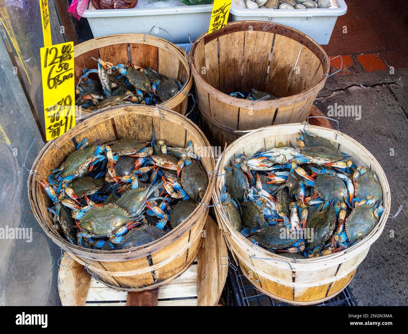 New York. Manhattan. Chinatown. Crabs for sale Stock Photo - Alamy