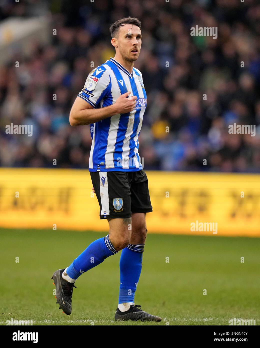Lee Gregory #9 of Sheffield Wednesday during the Sky Bet League 1 match ...