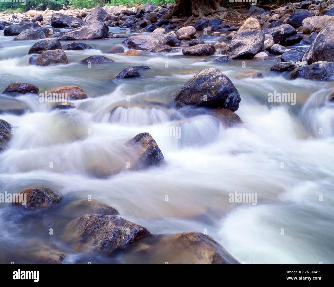Brook Stream in Wastern Ghats, Kerala, India, Asia Stock Photo - Alamy