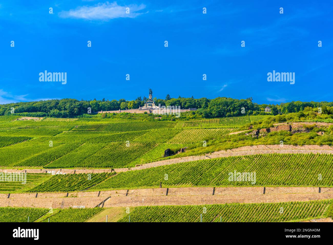 Niederwald monument and vineyards in Ruedesheim am Rhein Rhine ...