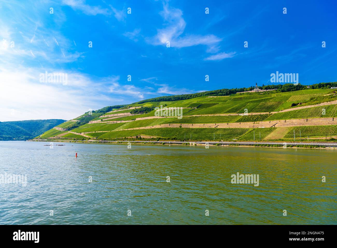 Niederwald monument and vineyards in Ruedesheim am Rhein Rhine ...