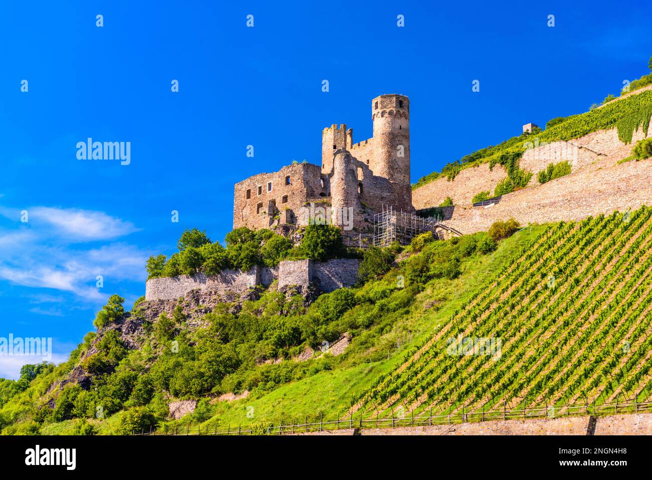 Ancient German fortress, ruins of Ehrenfels castle in Ruedesheim am ...
