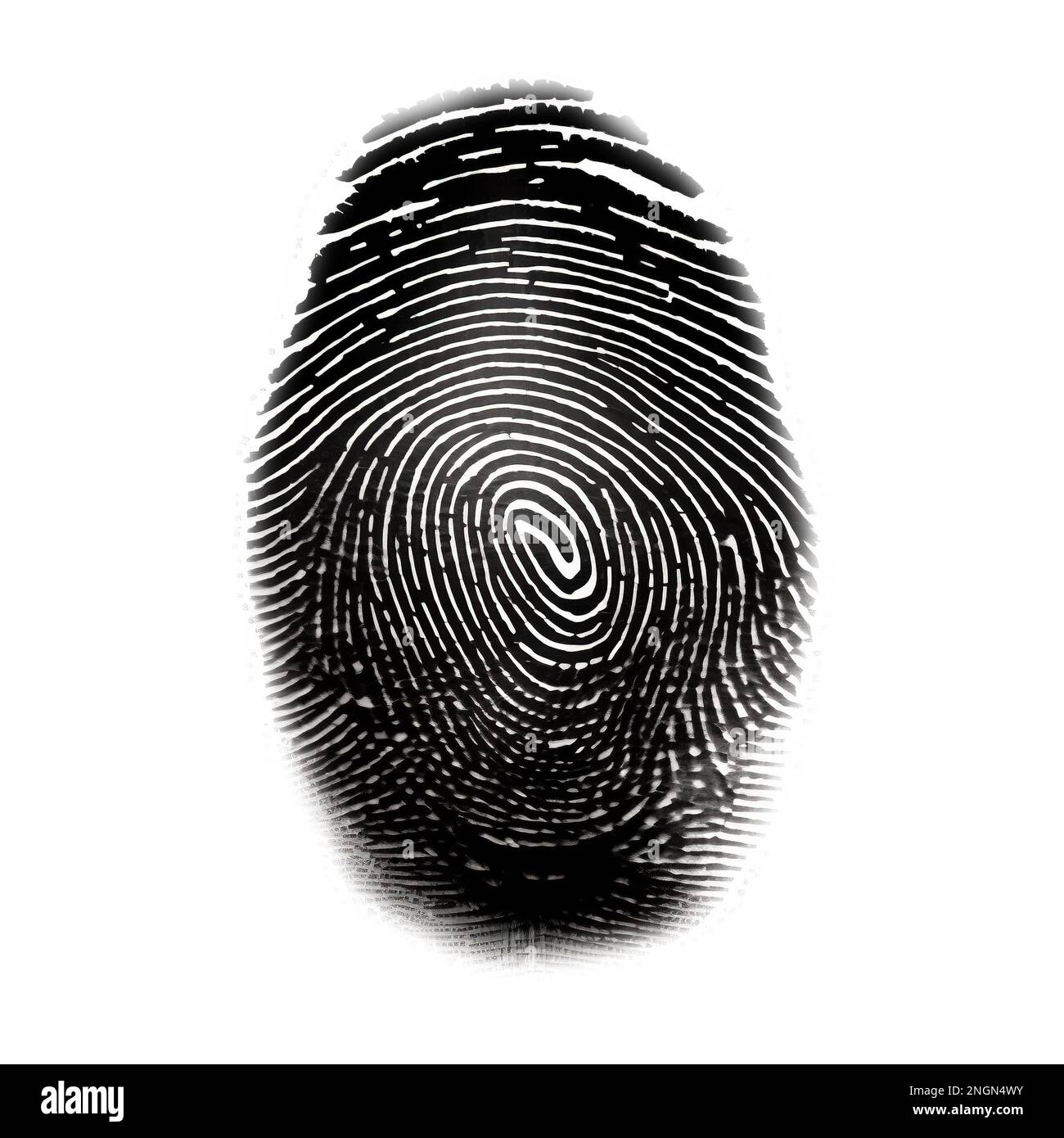Identity fingerprint on white background. Generated image Stock Photo ...
