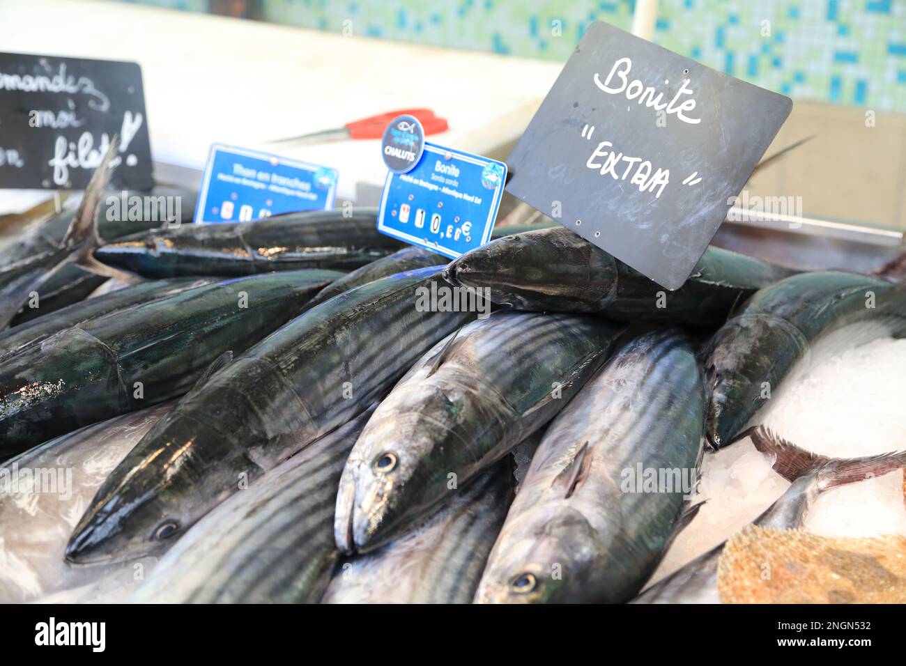 Display of skipjack tuna in the fish market at Halle Aux Poissons ...