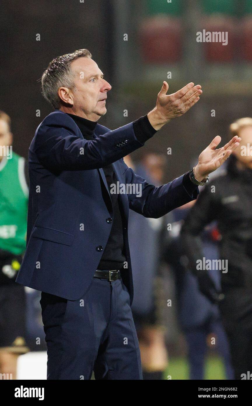 Oostende's head coach Dominik Thalhammer pictured during a soccer match ...