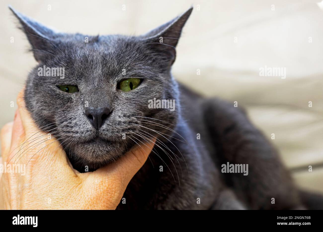 Hand scratching the neck hi-res stock photography and images - Alamy