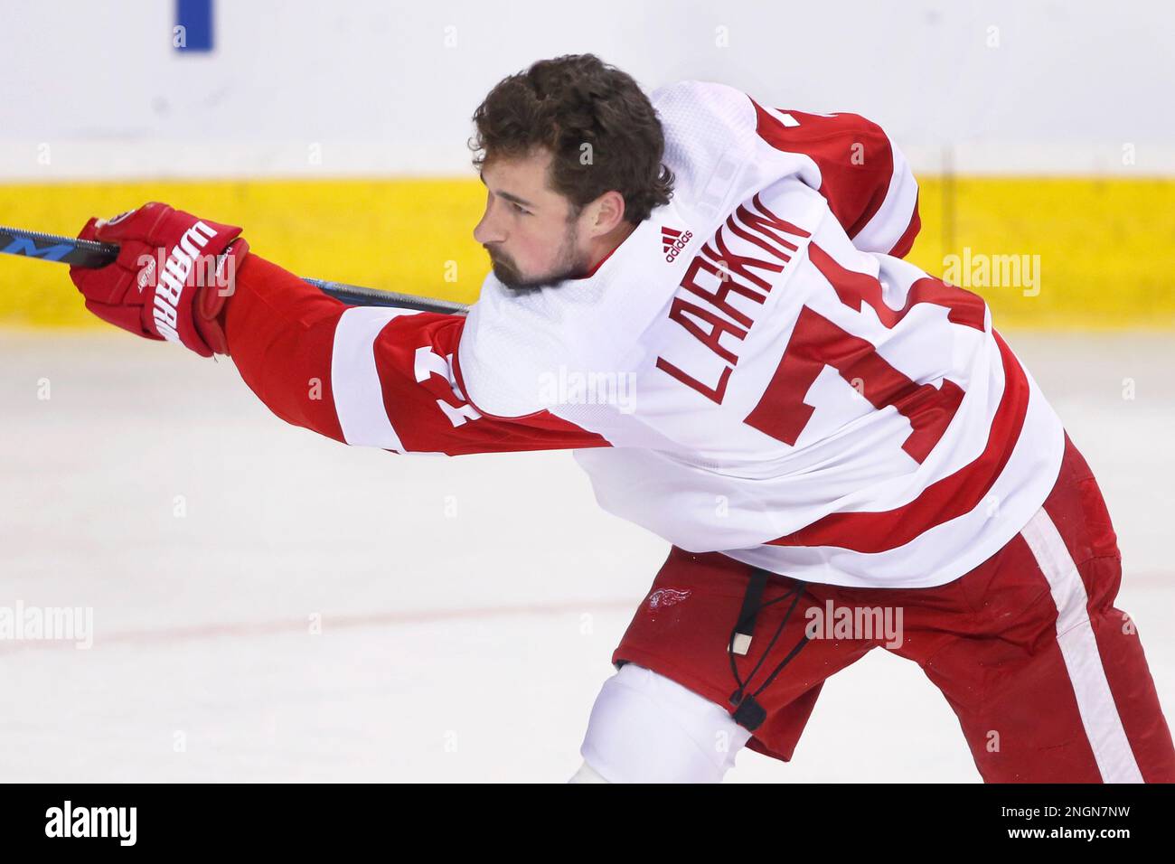 NHL profile photo on Detroit Red Wings player Dylan Larkin at a game ...