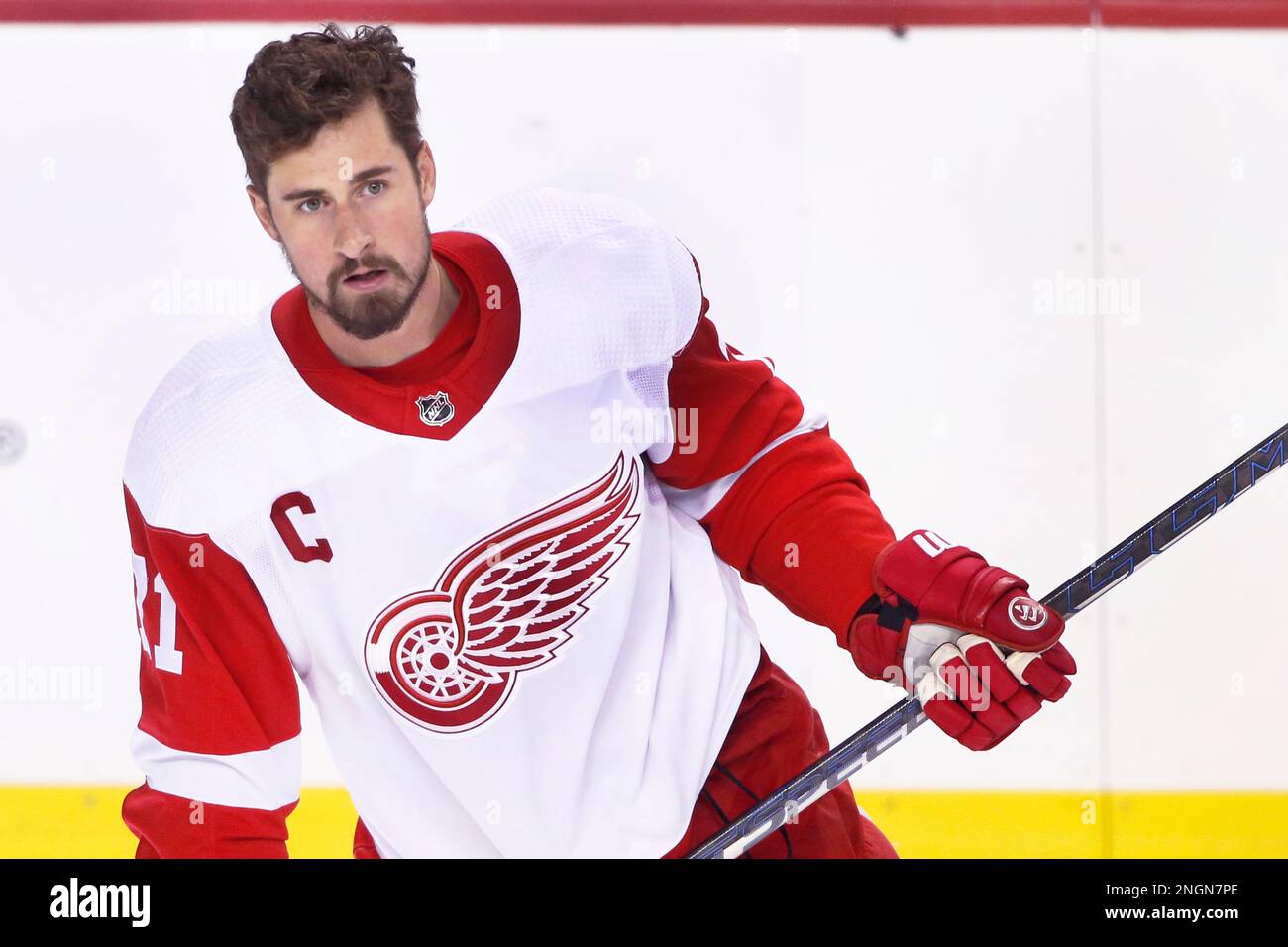 NHL profile photo on Detroit Red Wings player Dylan Larkin at a game ...