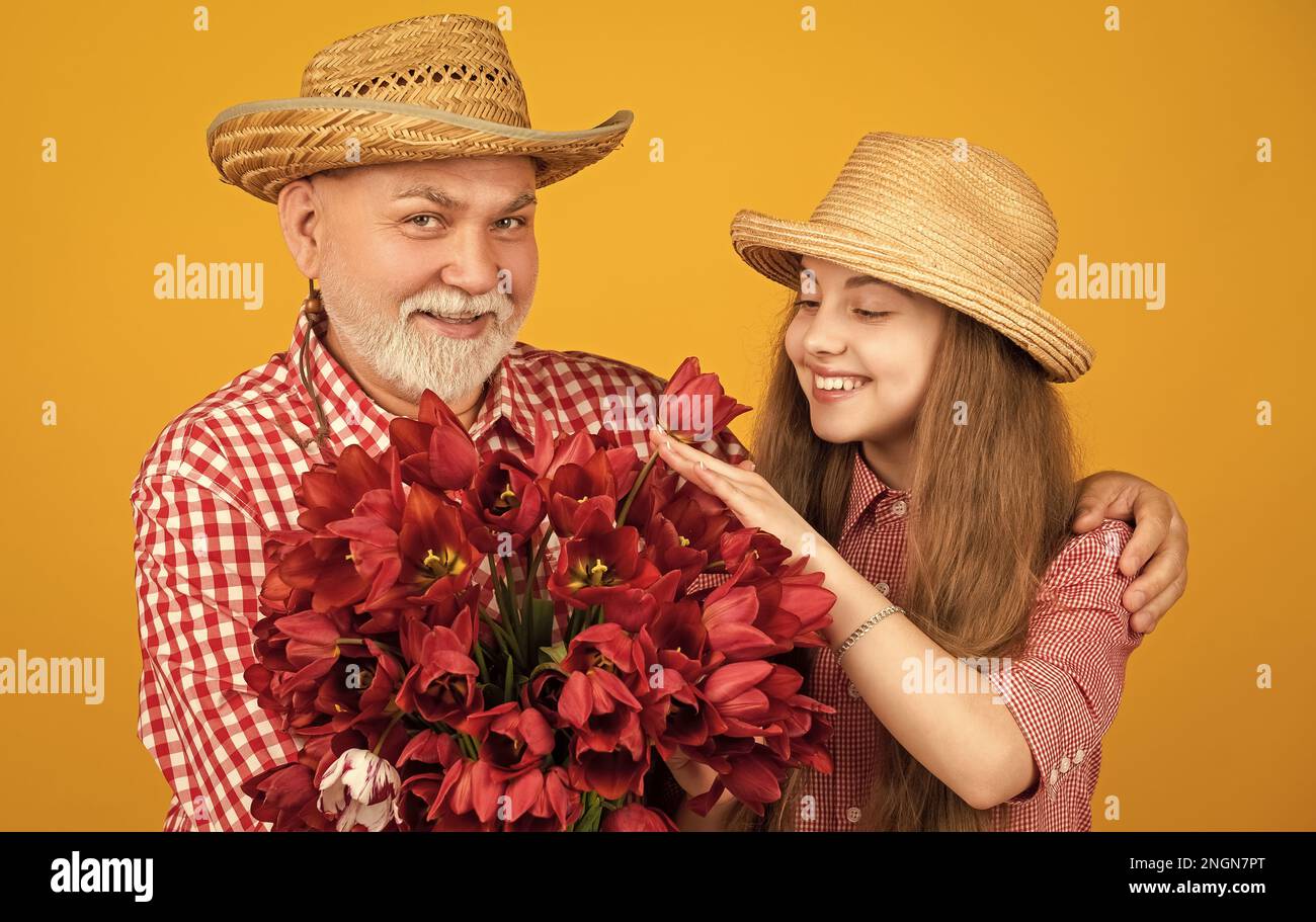 happy old grandfather with granddaughter hold tulip flowers on yellow ...
