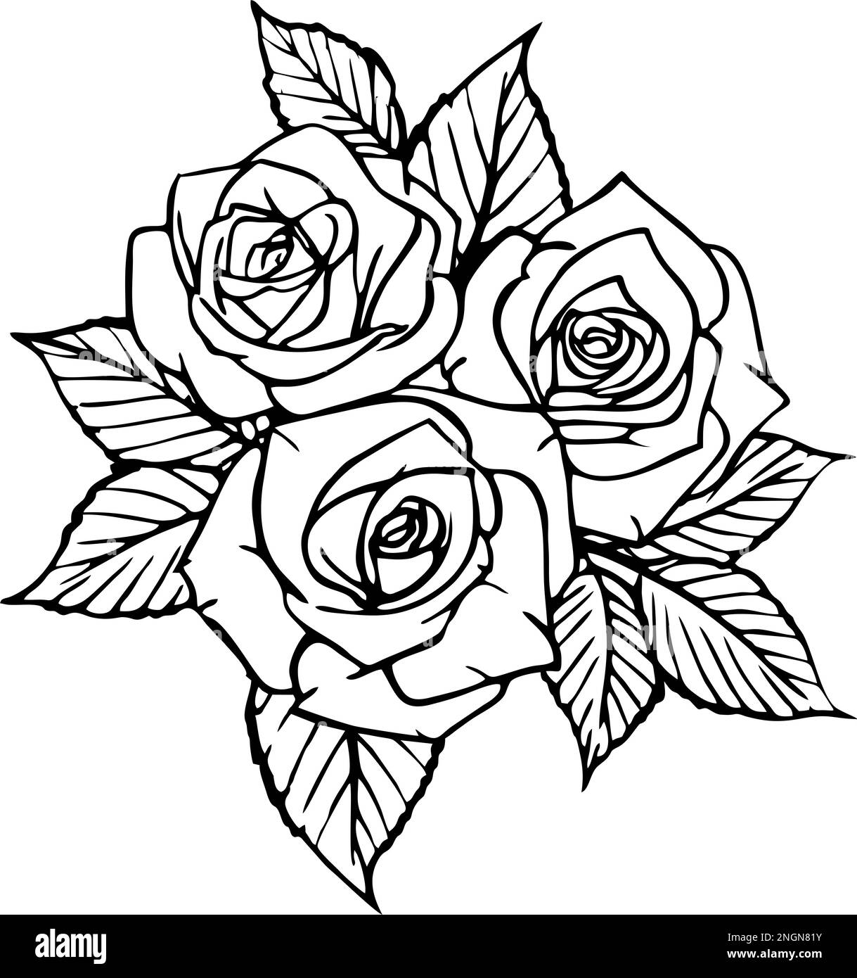 black contour drawing of three rose flowers with leaves on a white ...