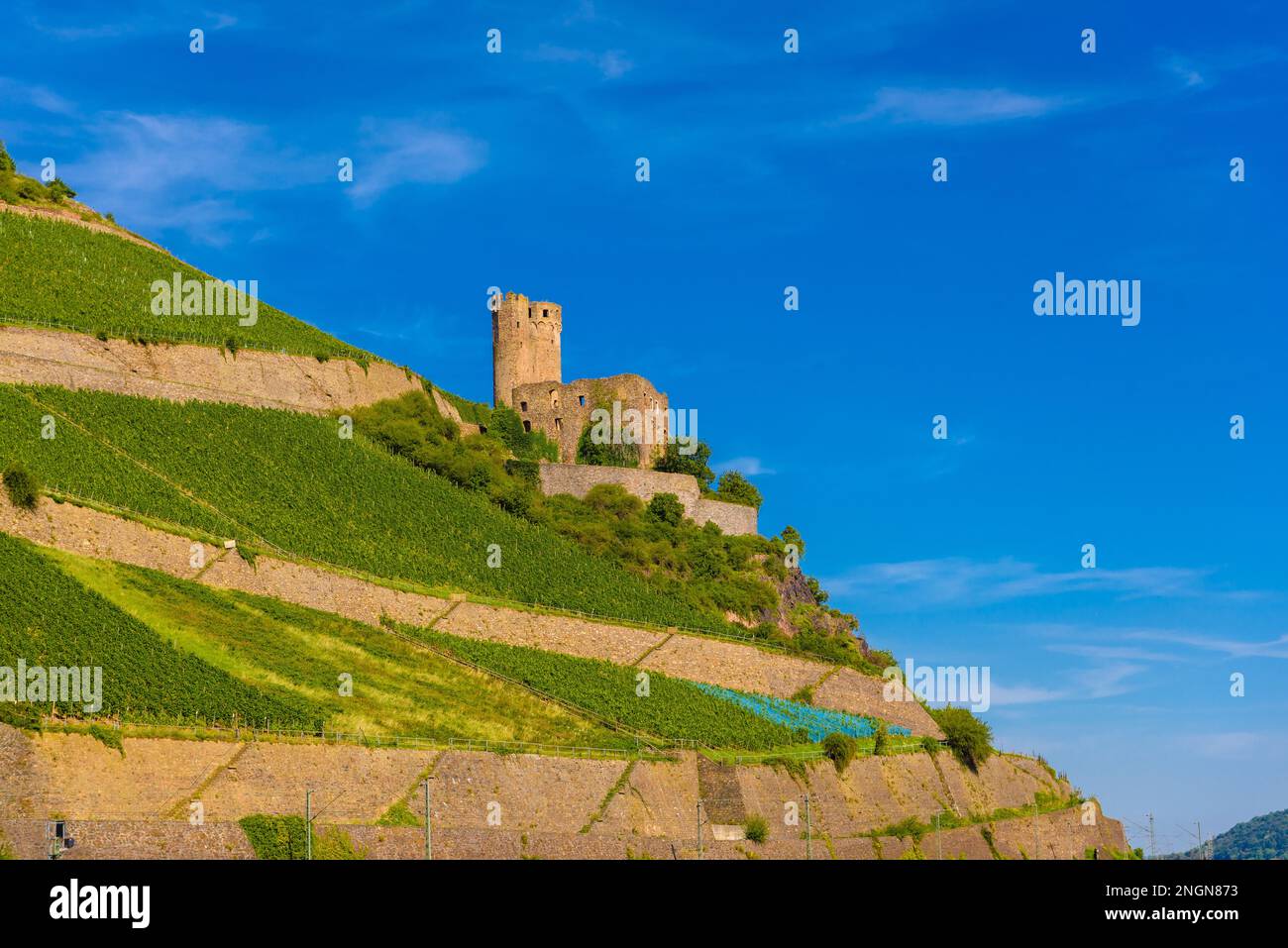 Ancient German fortress, ruins of Ehrenfels castle in Ruedesheim am ...