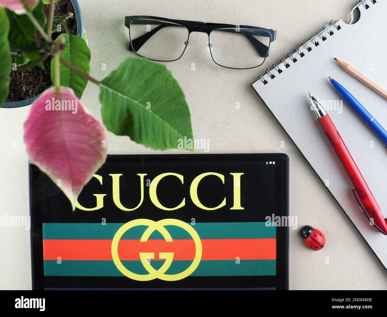 In this photo illustration, Guccio Gucci, S.p.A. logo seen displayed on ...