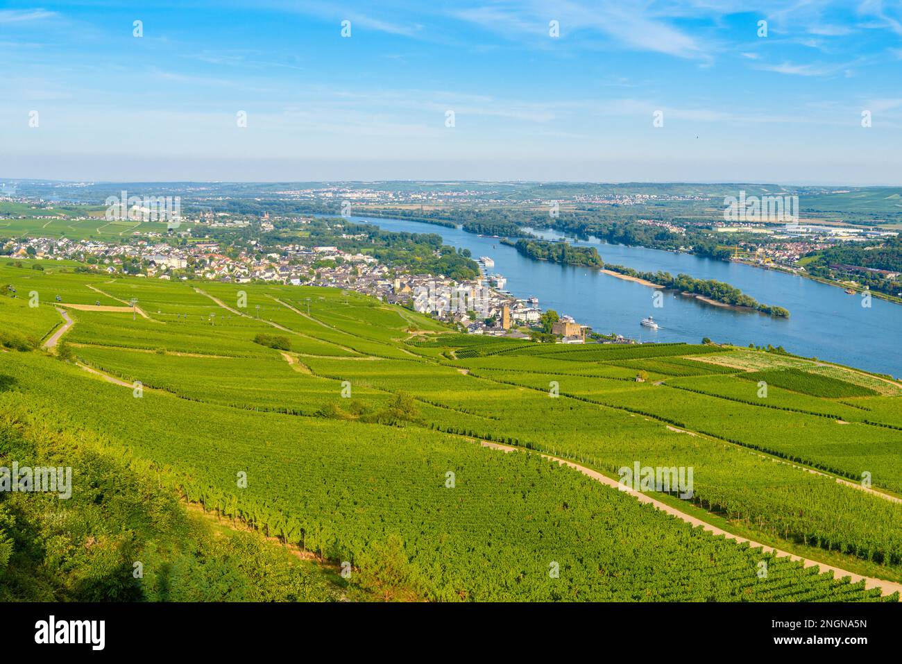 Areial view on vineyards and river near Ruedesheim am Rhein Rhine ...