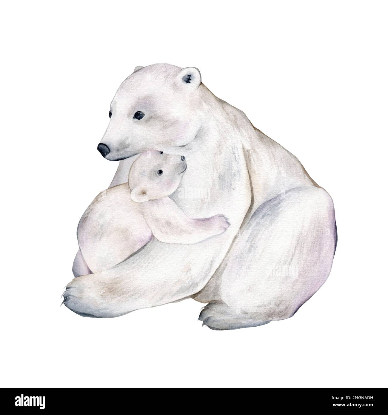 Polar Bear Watercolor