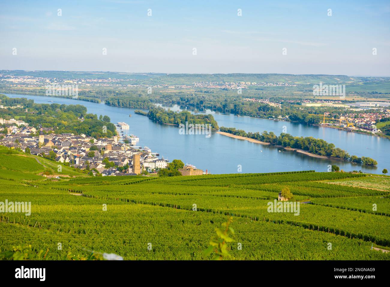 Areial view on vineyards and river near Ruedesheim am Rhein Rhine ...