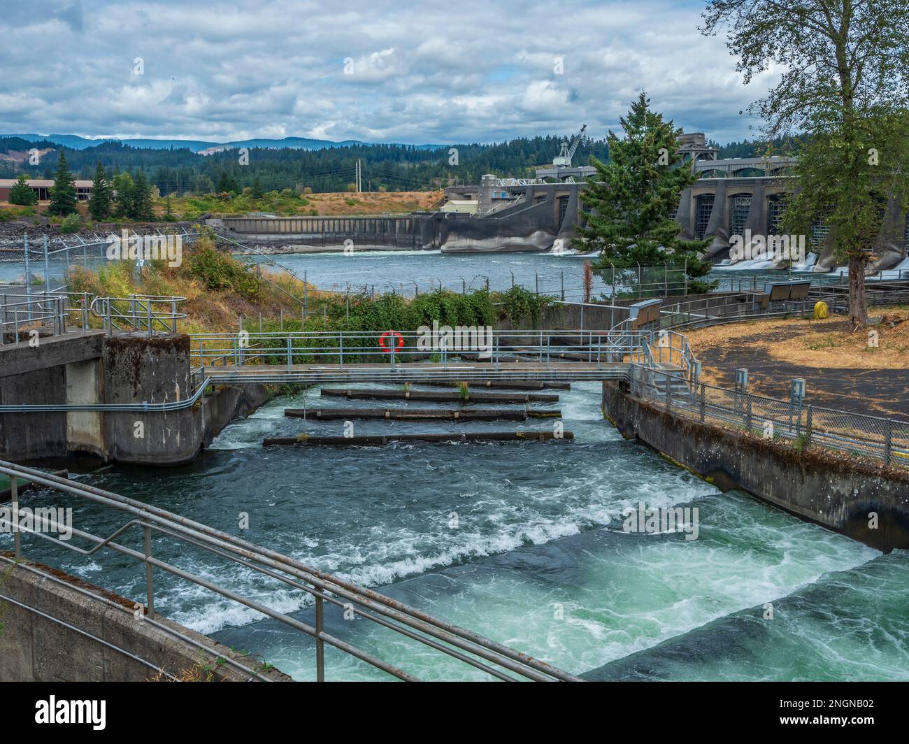 Dam with fish ladder hi-res stock photography and images - Alamy