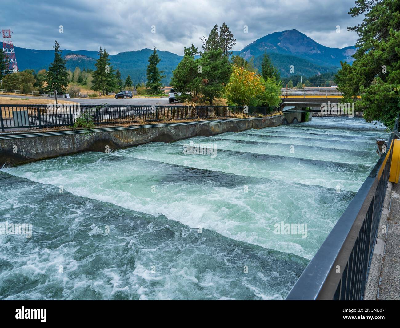 Fish ladders, Bonneville Dam, Columbia River Gorge National Scenic Area ...