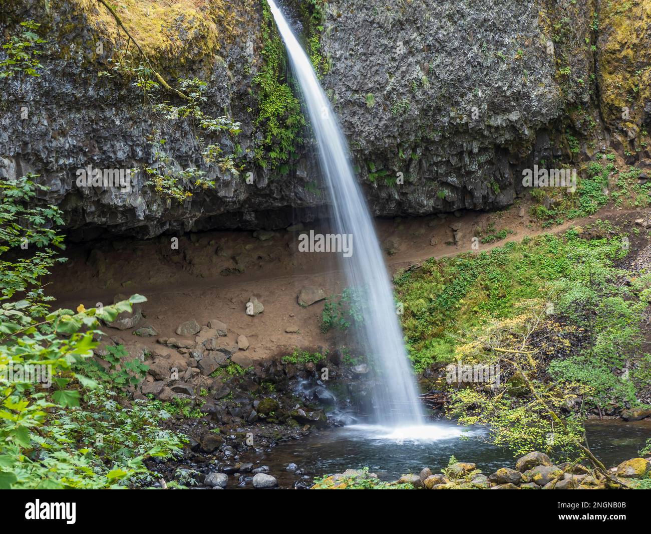 Poly Tail (Upper Horsetail) Falls, Trail 400, Columbia River Gorge ...