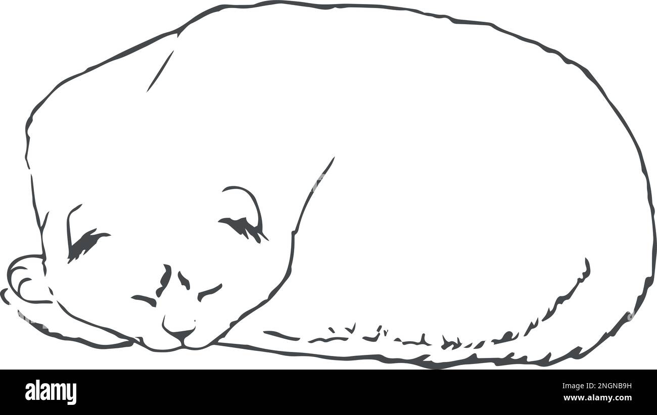 Cute sleeping cat sketch. Simple hand drawn art. Pet art. Cat contour ...