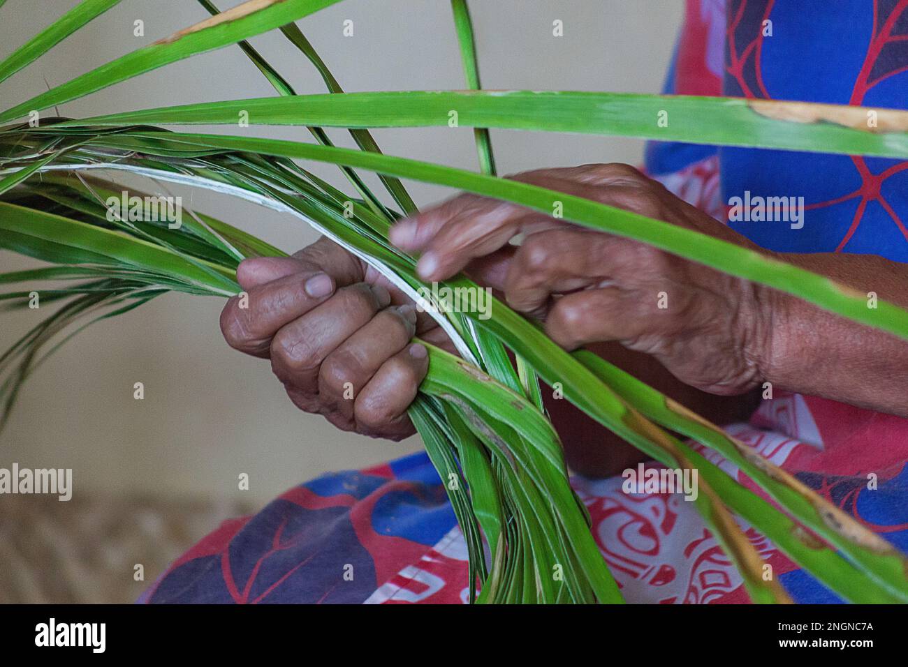 A Fijian woman basking weaving with palm leaves Stock Photo - Alamy