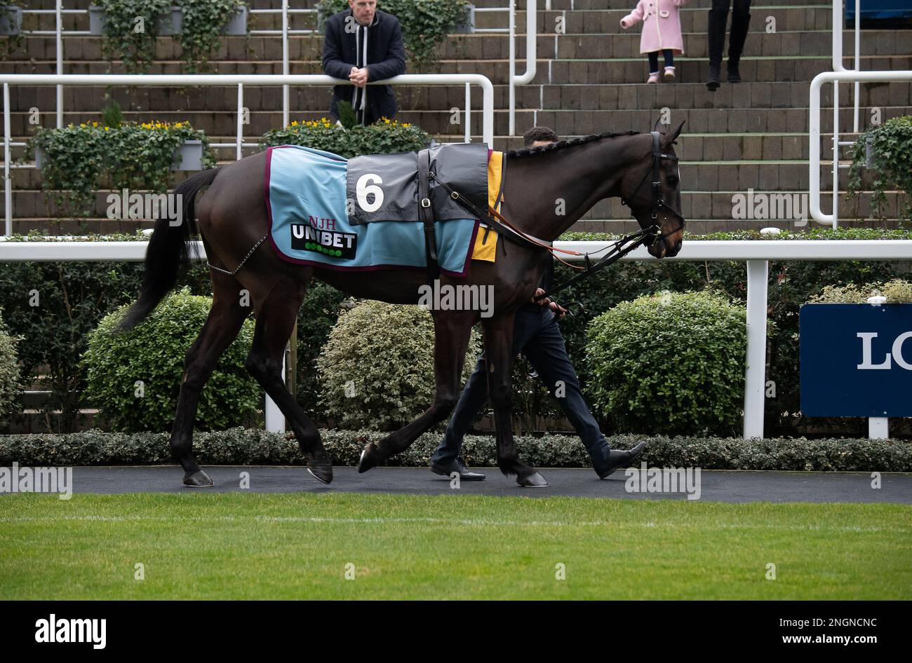 Nicky henderson 2023 racecourse hi-res stock photography and images - Alamy