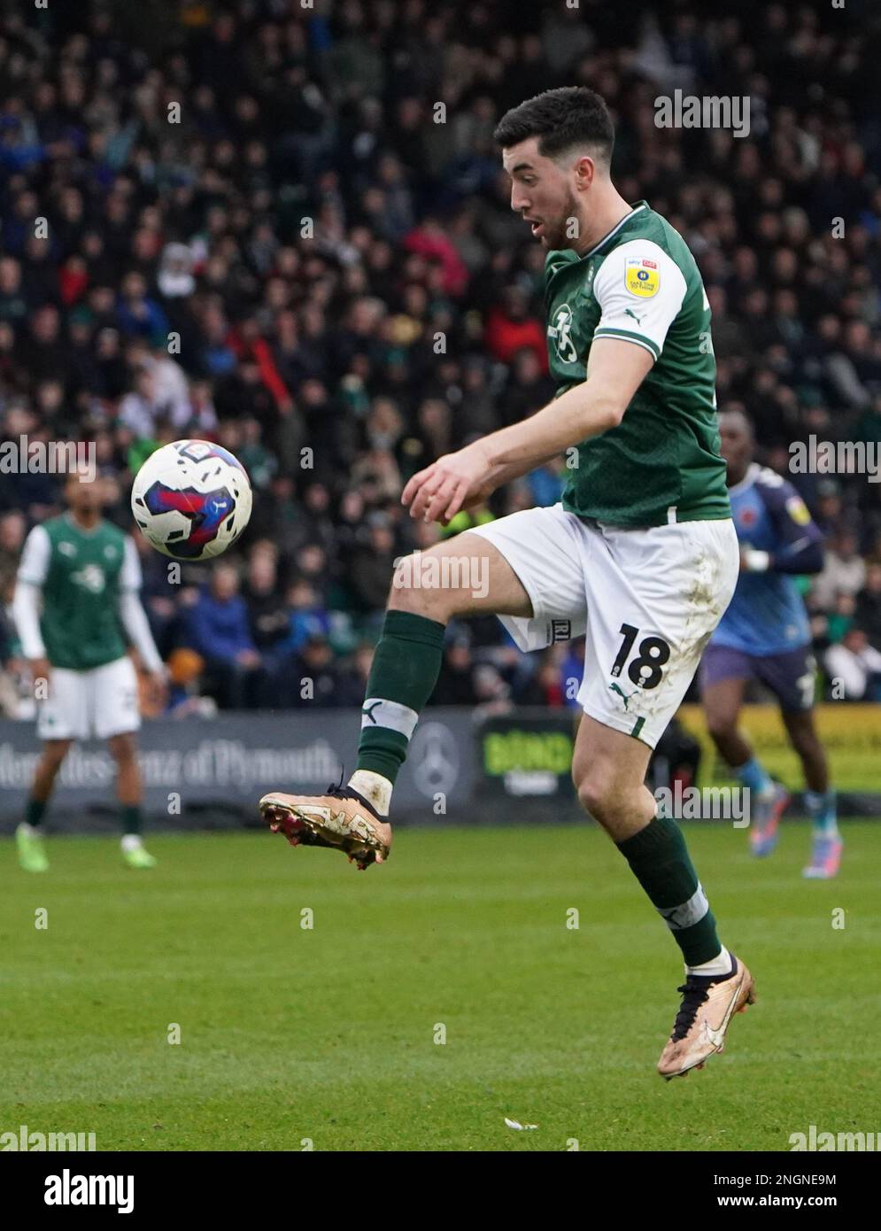 Finn azaz hi-res stock photography and images - Alamy