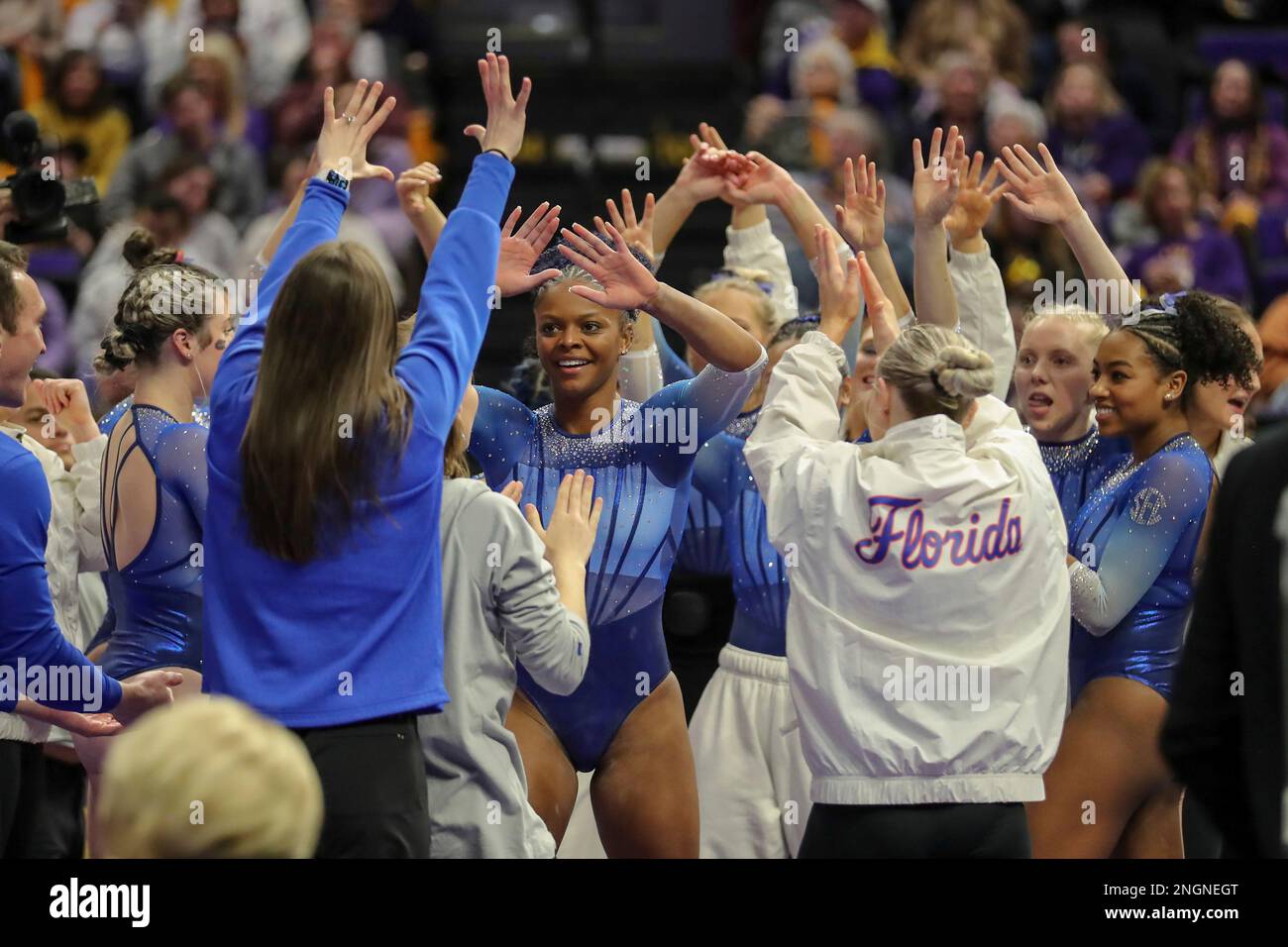 February 17, 2023: Florida's Trinity Thomas celebrates with teammates ...