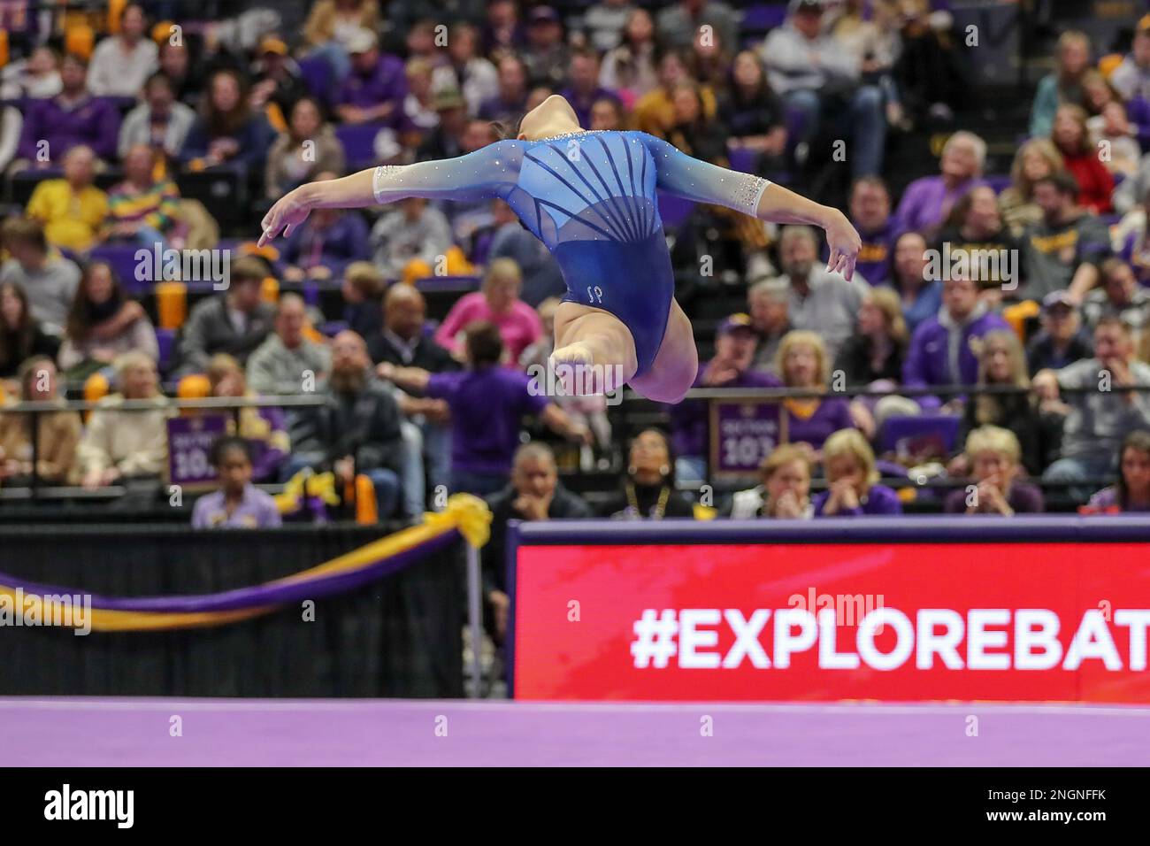 Baton Rouge, LA, USA. 17th Feb, 2023. Florida's Kayla Dicello competes ...