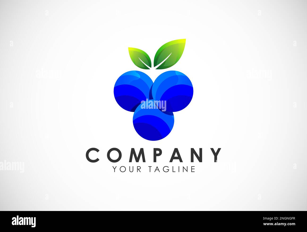 Colorful blueberry logo design template. Blueberry vectors Stock Vector ...