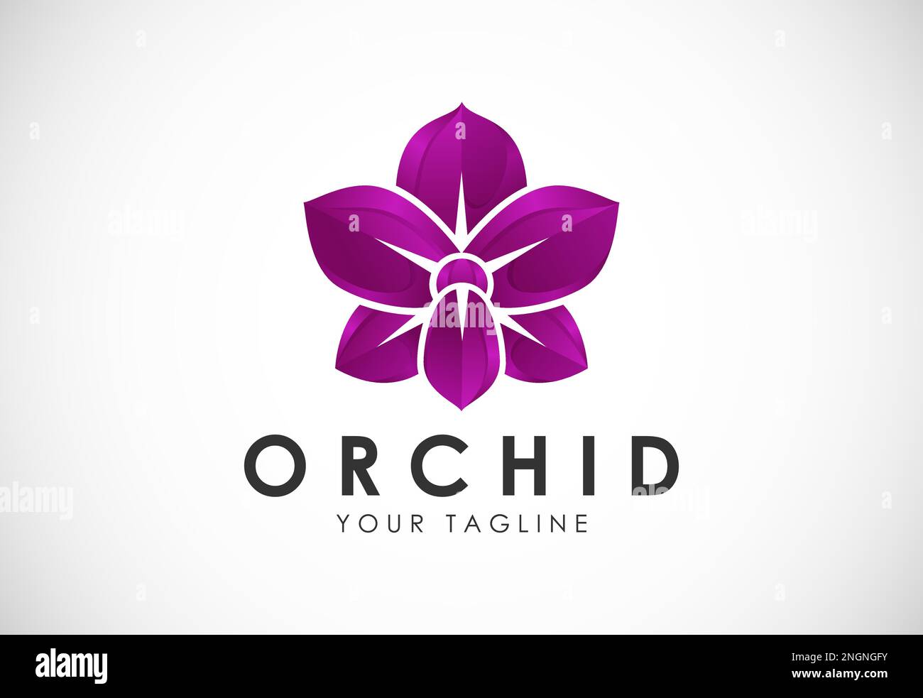 Colorful Orchid flower logo design template vector Stock Vector Image ...