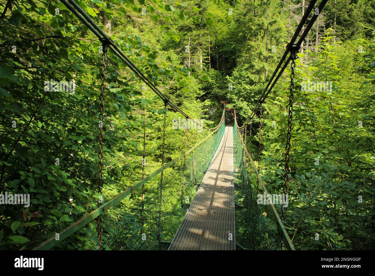 A steel suspension bridge over the river in the Slovak Paradise ...