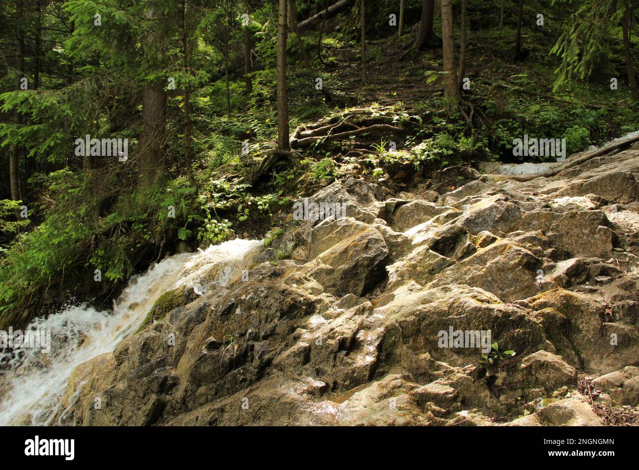 Dangerous trail through a waterfall with steel ladders in the Slovak ...