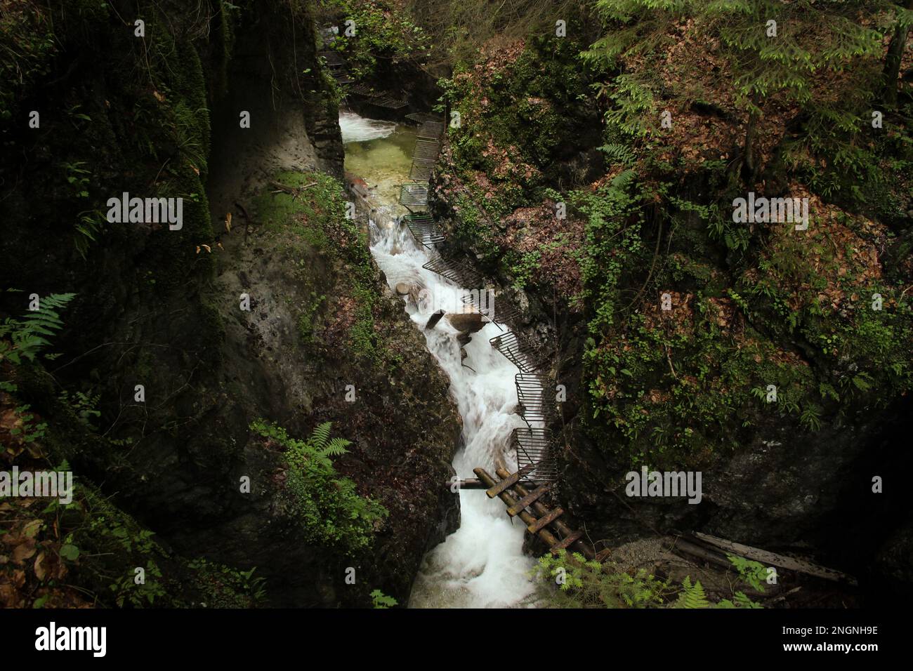 Dangerous trail through a waterfall with wooden ladders in the Slovak ...