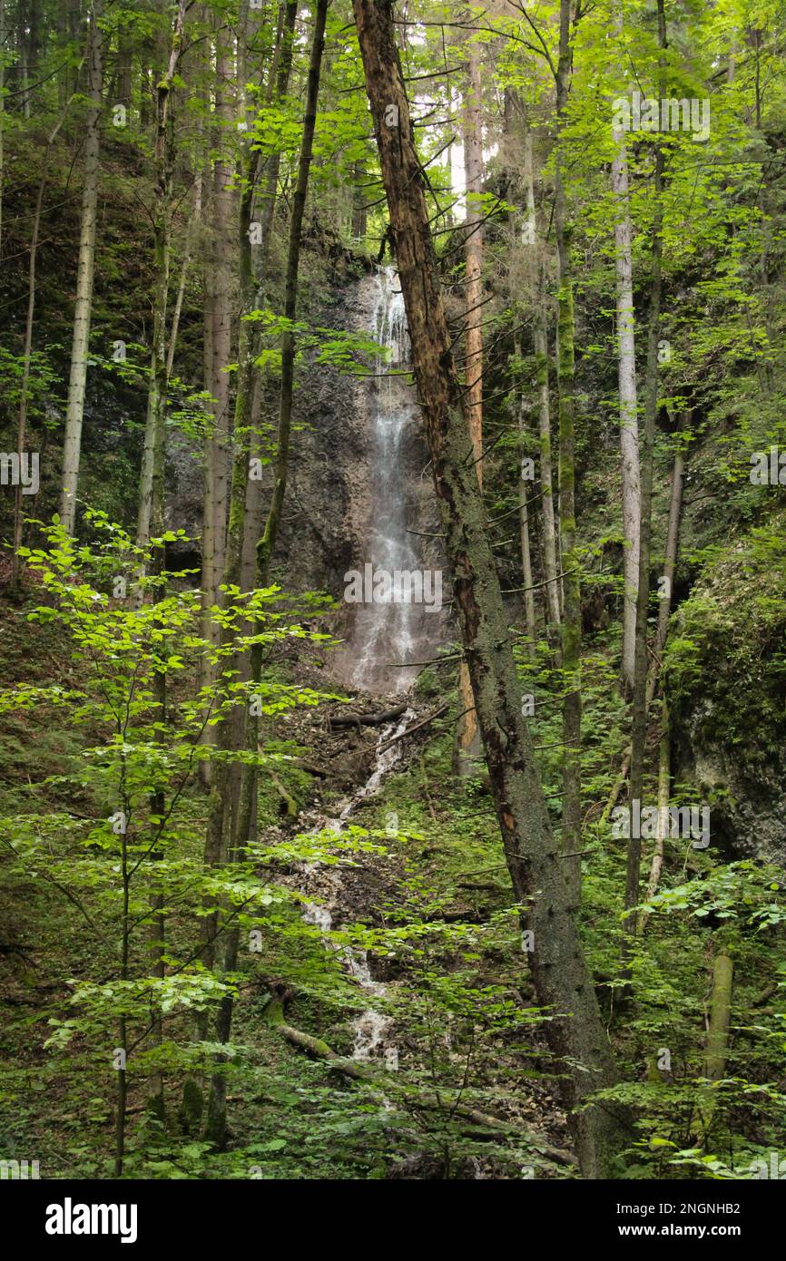 Beautiful waterfalls on the tourist trail in Slovak Paradise National ...