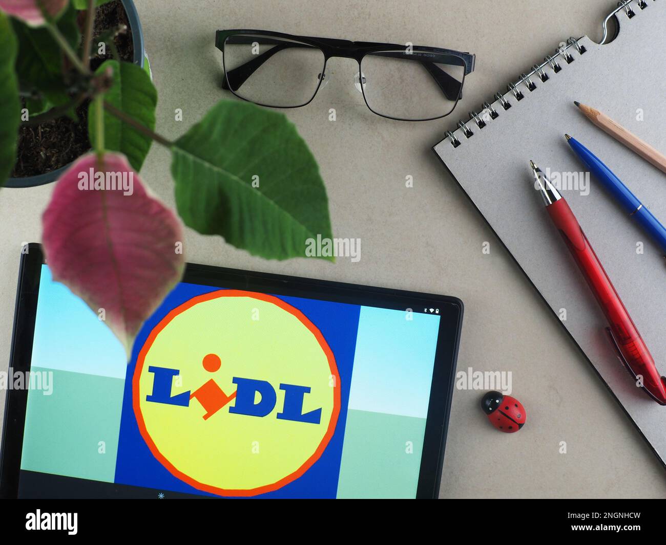In this photo illustration, a Lidl Stiftung & Co. KG logo seen ...