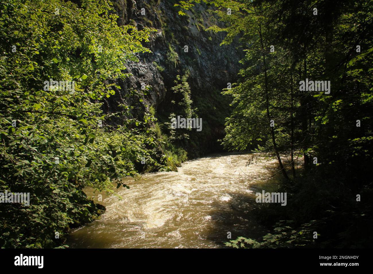 The river flows through the areas of the Slovak Paradise National Park ...