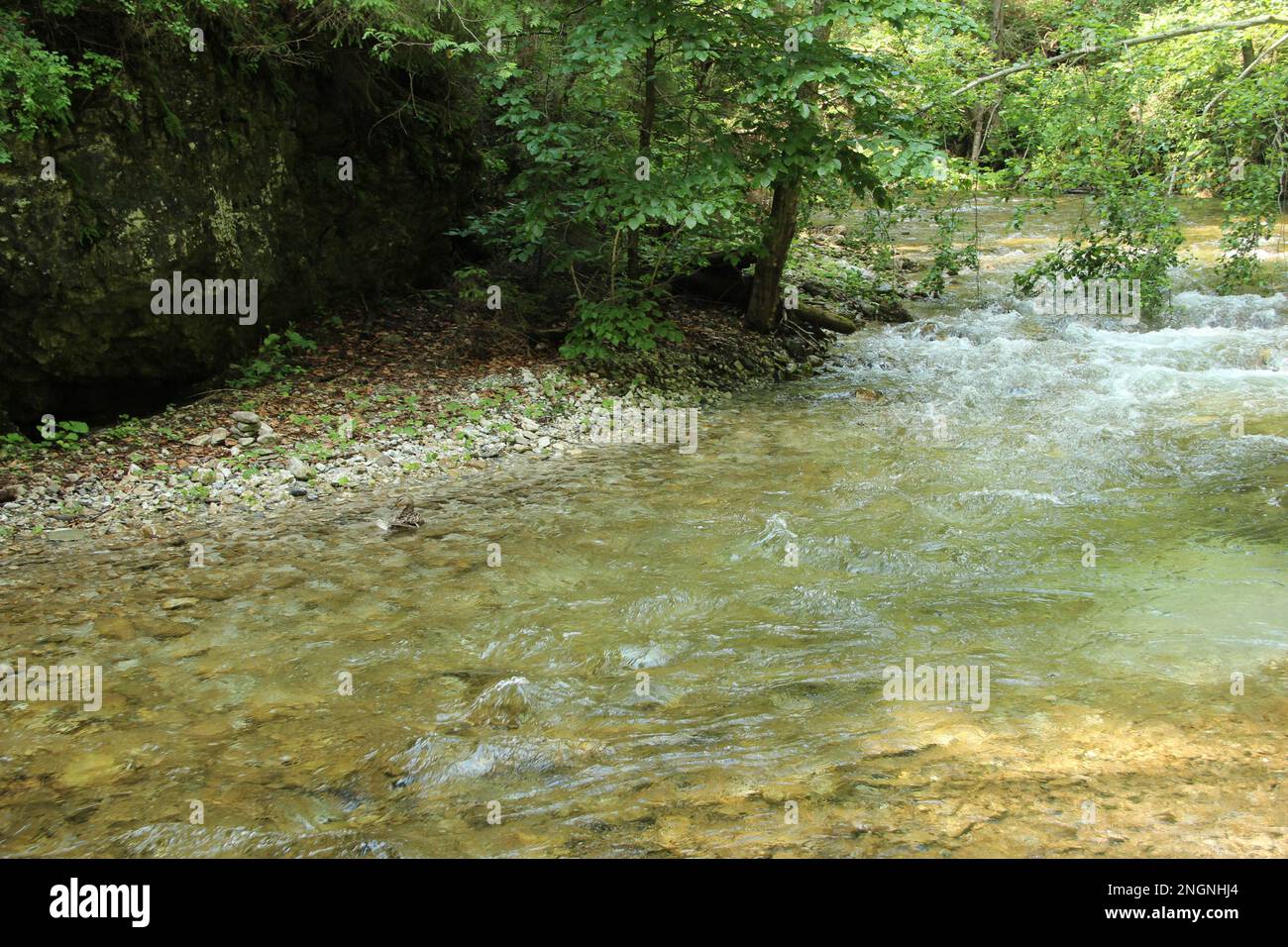 The river flows through the areas of the Slovak Paradise National Park ...