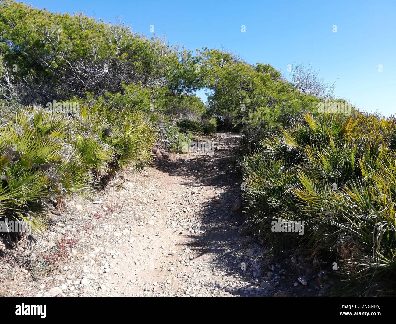 Valencia countryside coastal view hi-res stock photography and images ...