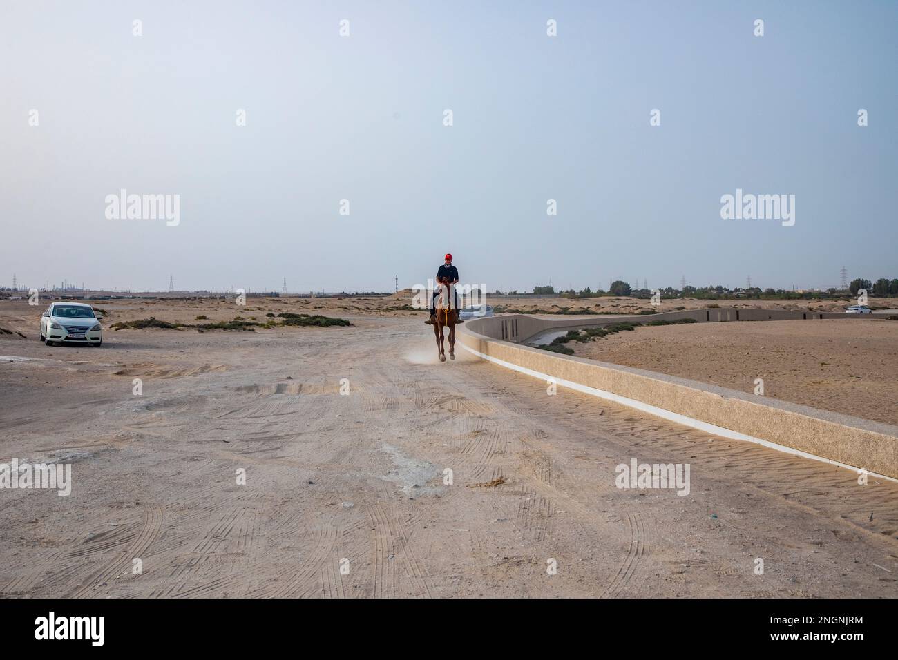 Local boy riding in the desert near tree of life, Kingdom of Bahrain ...
