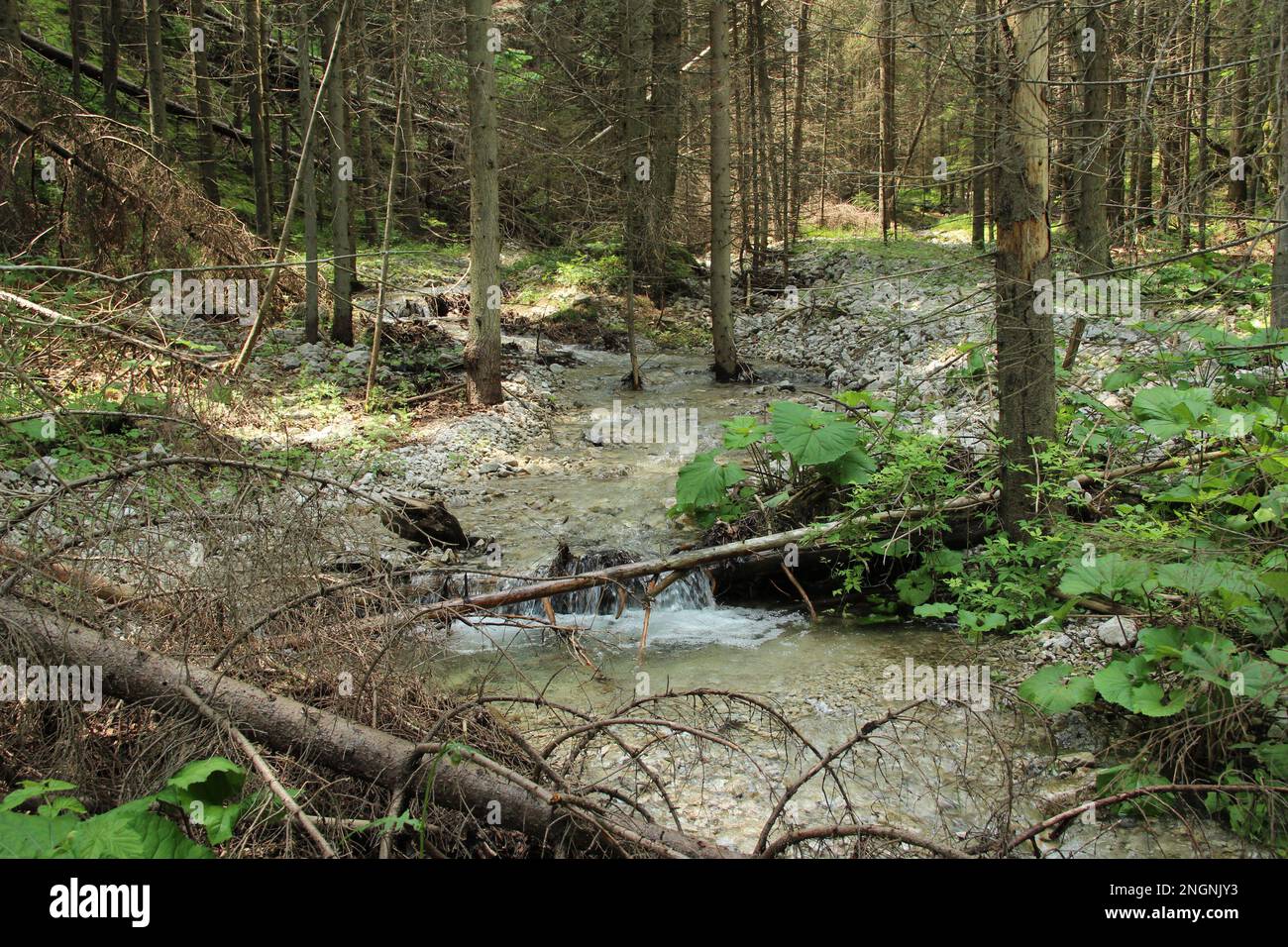 Sokolia dolina hi-res stock photography and images - Alamy
