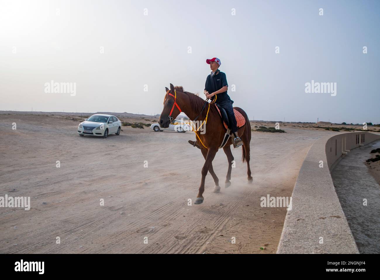 Local boy riding in the desert near tree of life, Kingdom of Bahrain ...