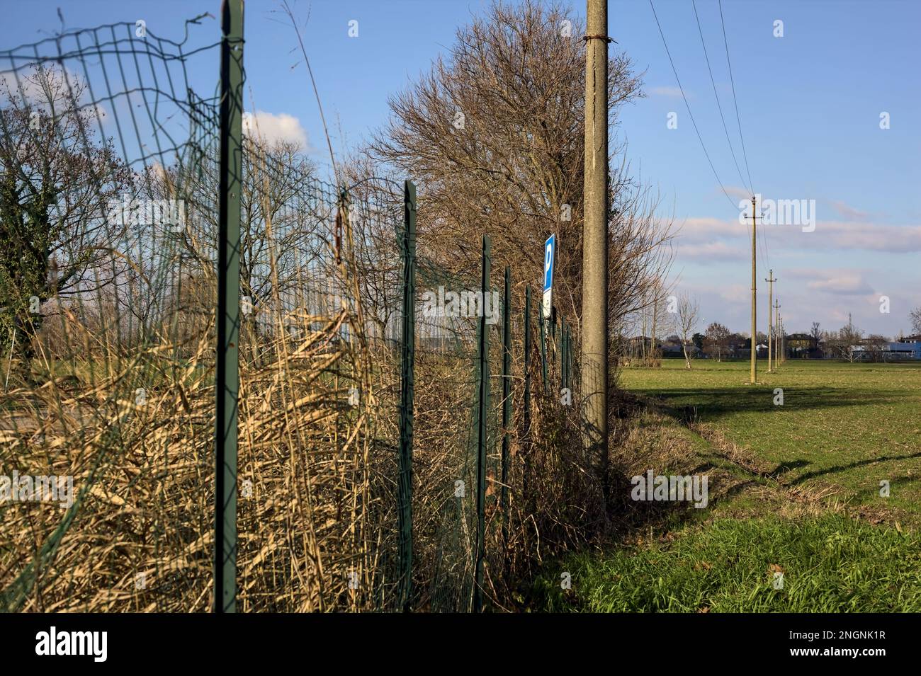 Field with trees and an over head power line with wooden poles on a ...