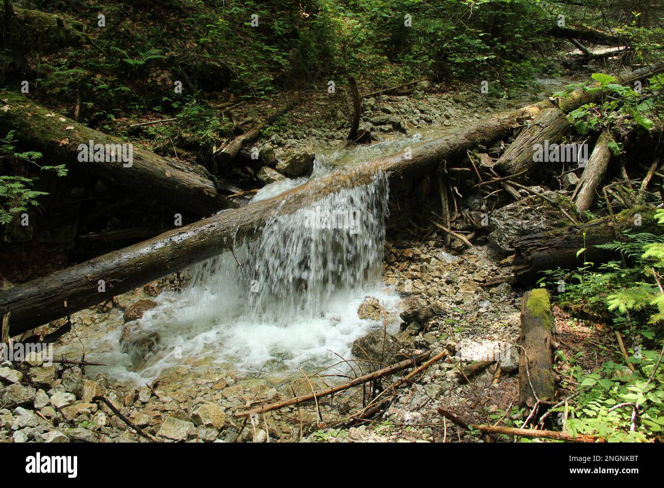 Beautiful waterfalls on the tourist trail in Slovak Paradise National ...