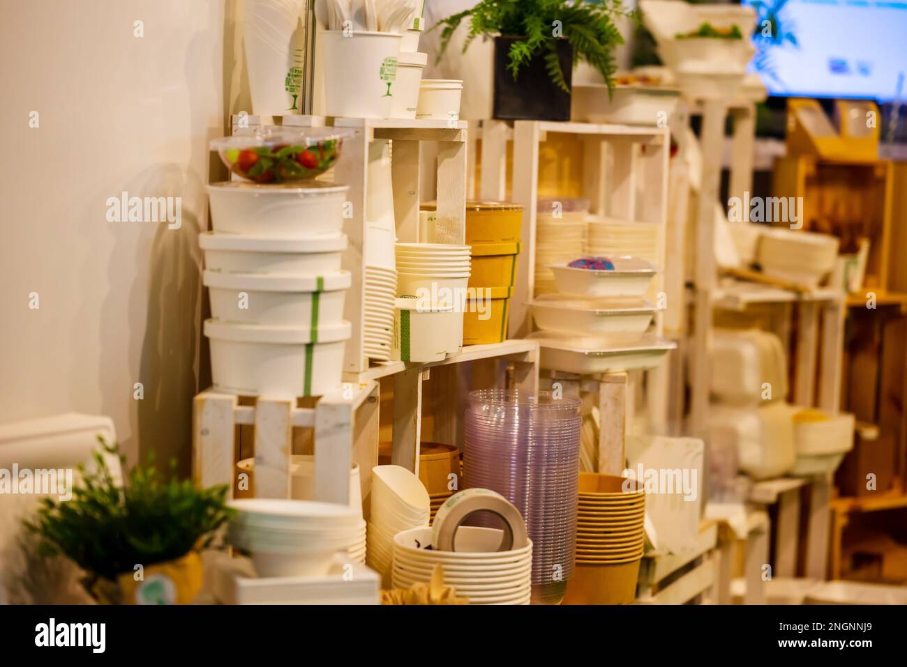 Wooden Stand With Different Plastic And Paper Disposable Boxes For ...