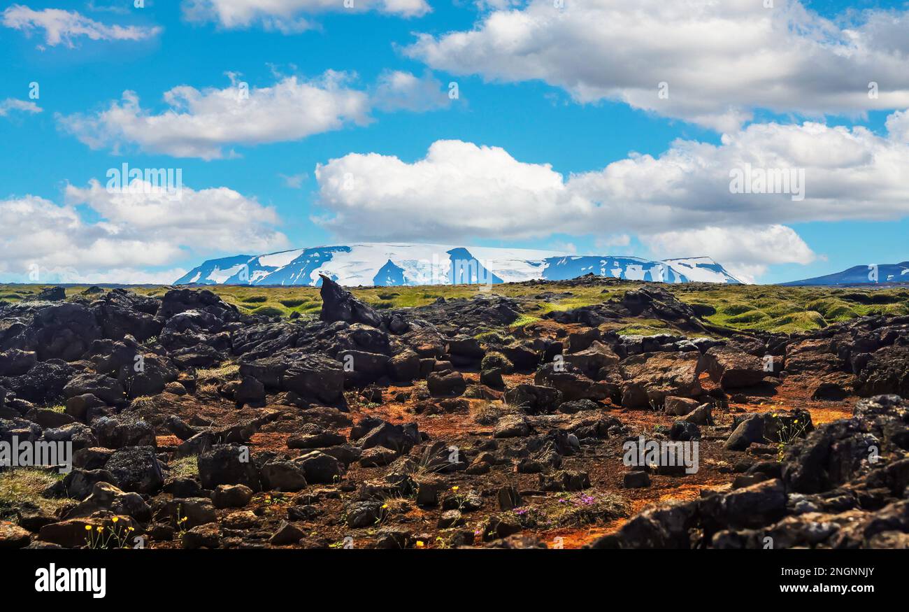 Beautiful icelandic landscape, lava stone field, partly ice capped ...